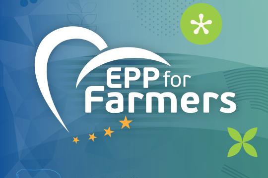 EPP Group in the European Parliament