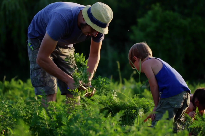 CAP reform better for farmers and consumers
