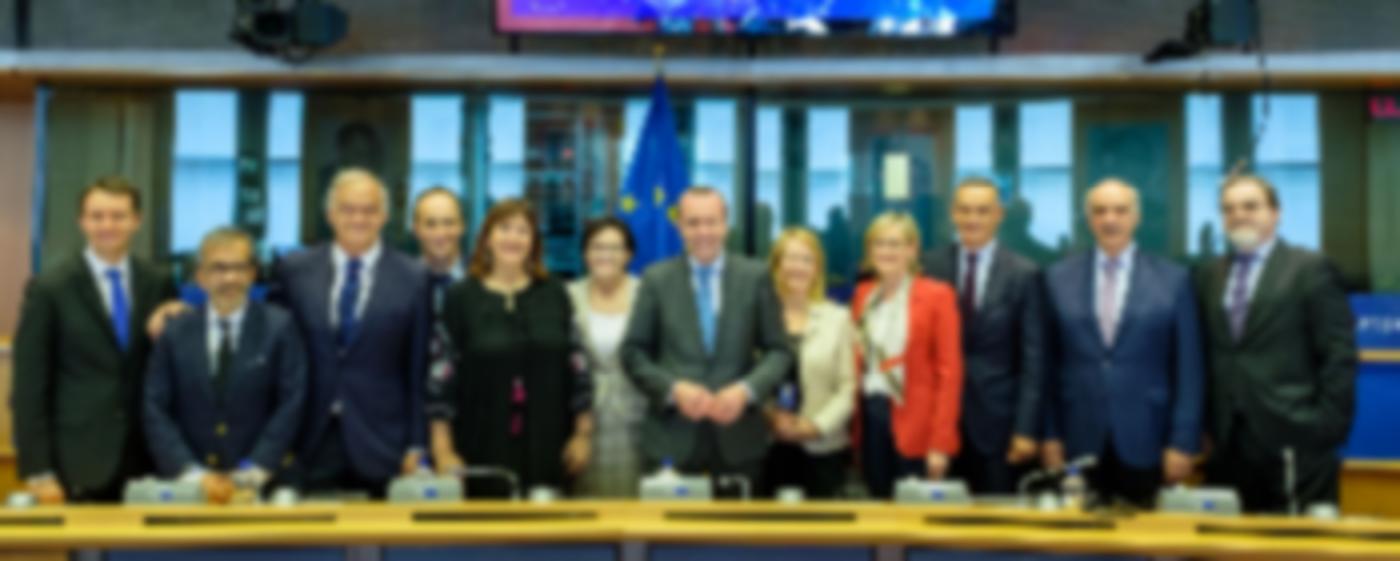 EPP Group in the European Parliament
